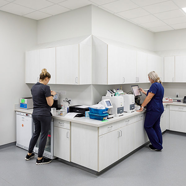 Comprehensive Pet Laboratory - Vet in Hardeeville | New River ...